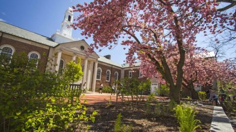 Passwords and Logging In | Drew University